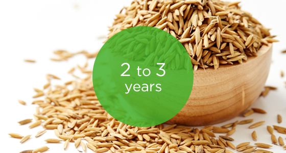 How much toothpaste should a child use? - Delta Dental